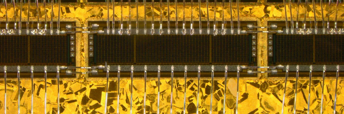 Enersight Microscope Software Platform | Products | Leica Microsystems