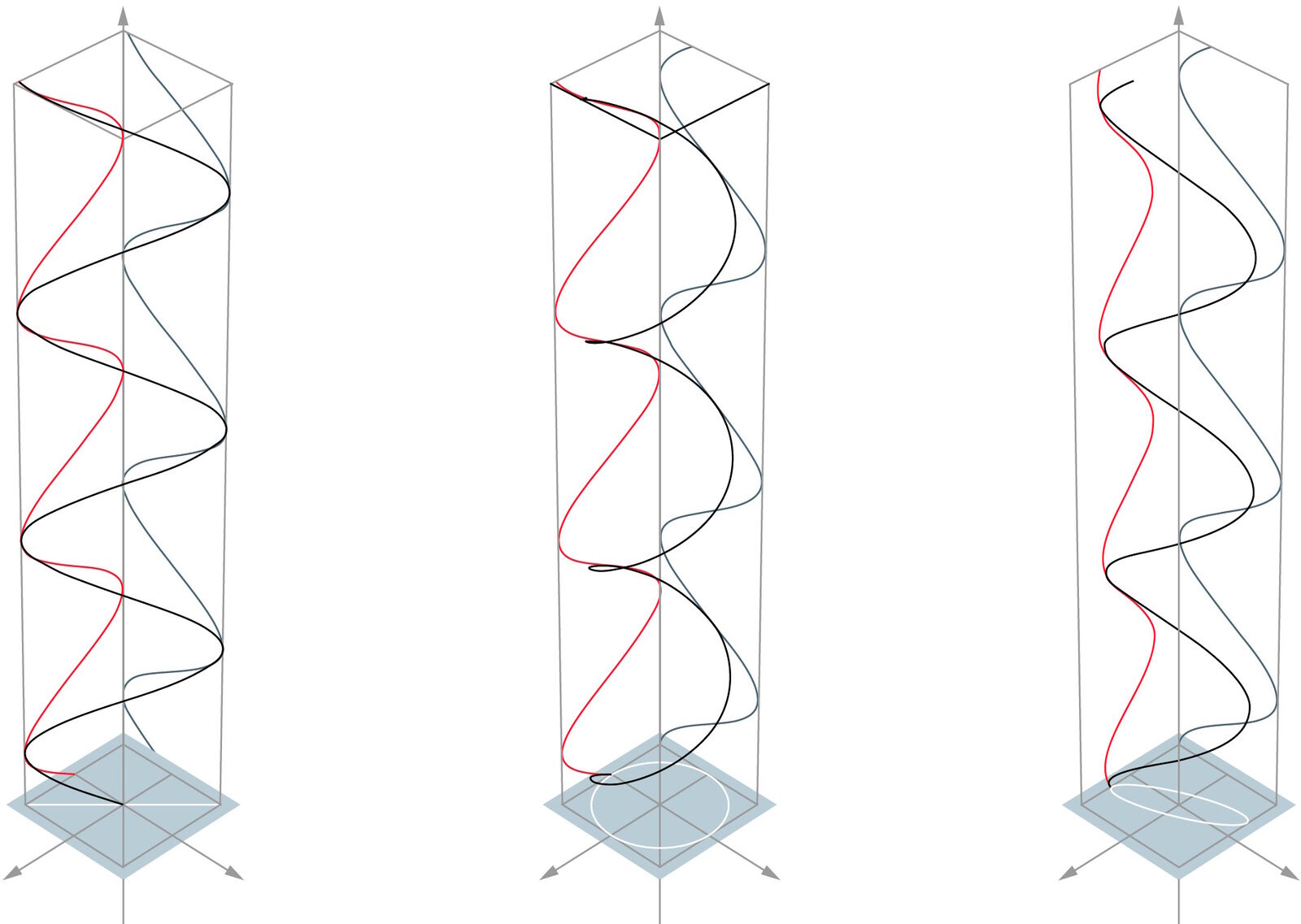 how does differential interference contrast microscopy work