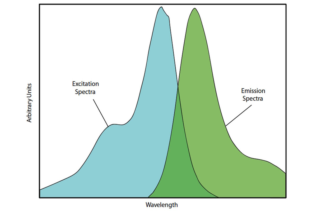 Handbook of Optical Filters for Fluorescence Microscopy | Learn & Share ...