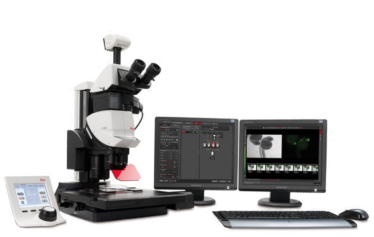LAS X Widefield Systems Fluorescence Microscope System - Media ...