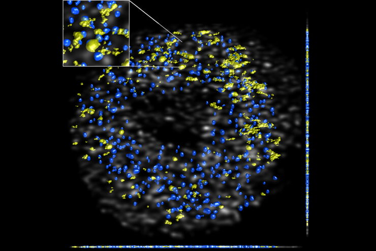Articles | Products | Leica Microsystems