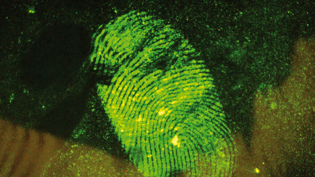 Forensic Science Microscopes | Applications | Leica Microsystems