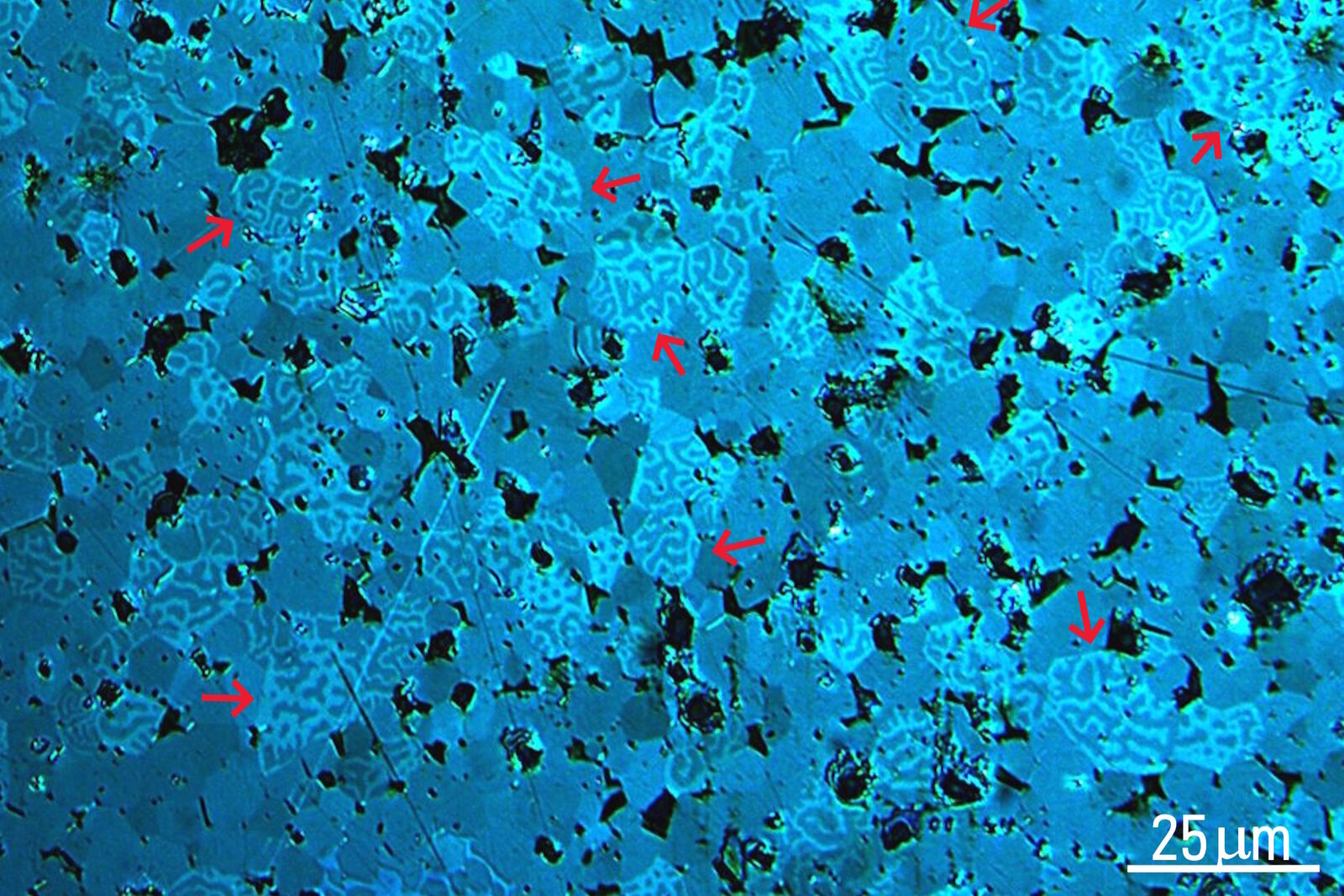 Rapidly Visualizing Magnetic Domains in Steel with Kerr Microscopy ...