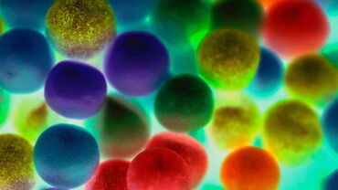 A Guide to Fluorescence Lifetime Imaging Microscopy (FLIM) | Learn ...