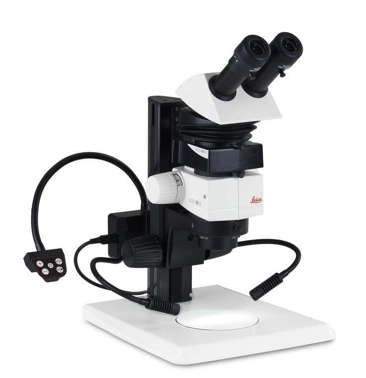 LED3000 SLI LED Spotlight Illuminator with Gooseneck - Media | Products ...