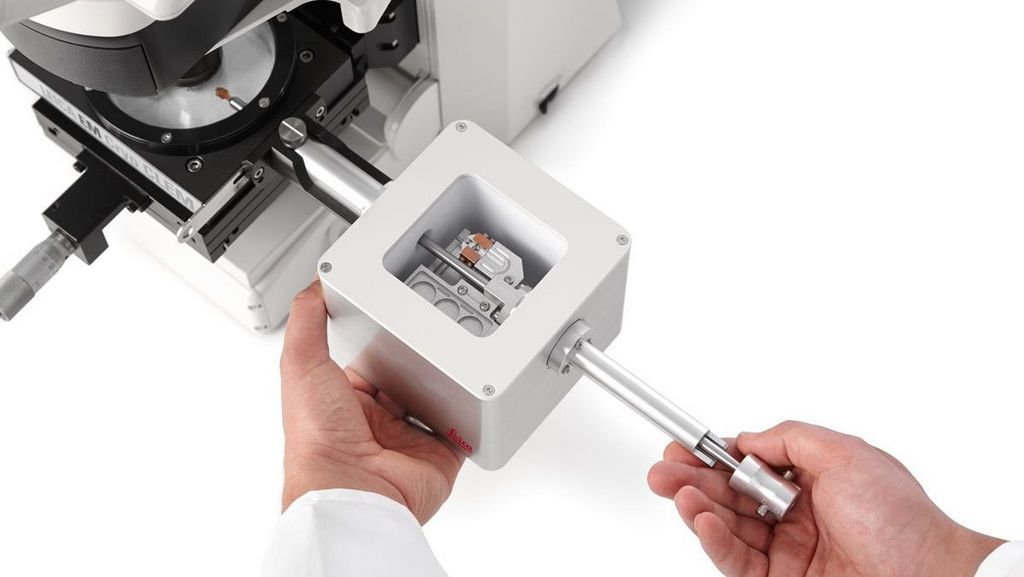 EM Sample Prep Workflows & Uses | Applications | Leica Microsystems