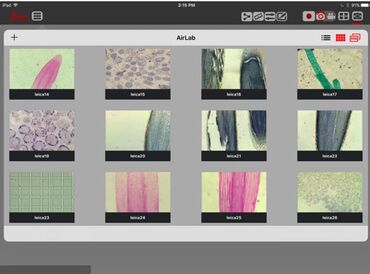 Leica EZ4 W & EZ4 E | Products | Leica Microsystems