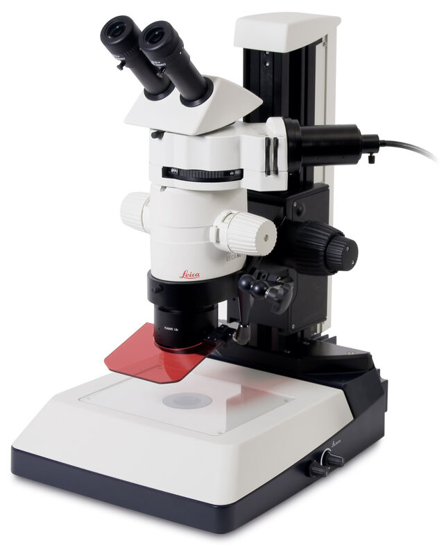 MZ10 F Modular Stereo Microscope | Products | Leica Microsystems