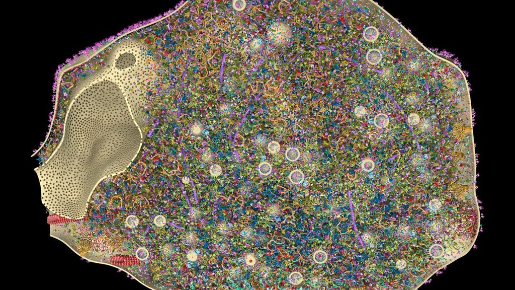 Microscope Parts & Accessories | Products | Leica Microsystems