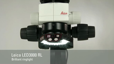 LED3000 NVI Near vertical LED illumination system - Media | Products | Leica Microsystems