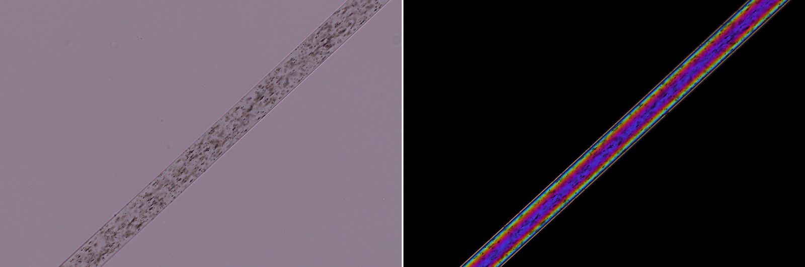 nylon fiber under microscope