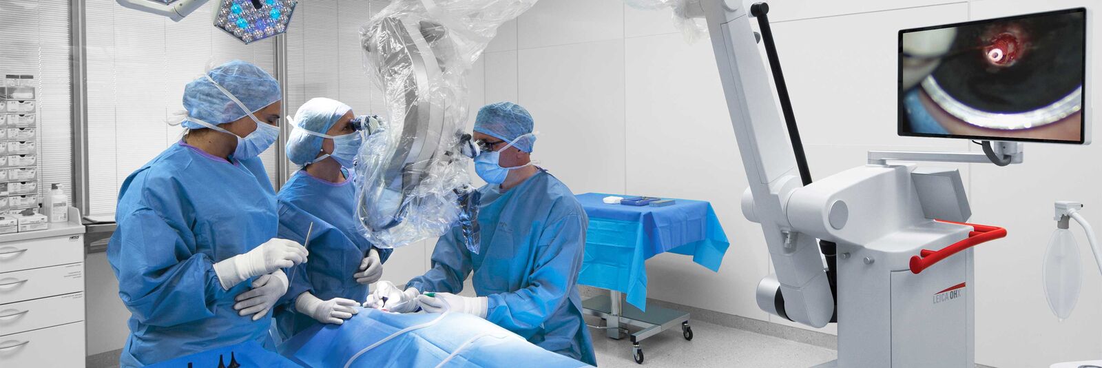 Otolaryngology (ENT) | Applications | Leica Microsystems