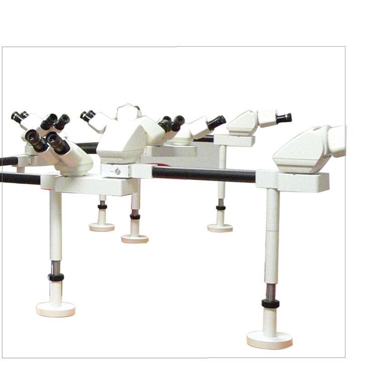 Multiviews Multiple viewing systems allow multiple users to ...