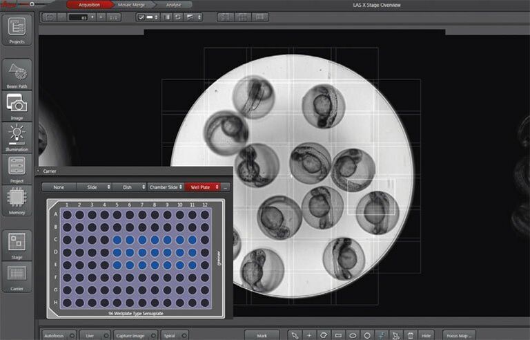 DMi8 S Live cell microscope | Products | Leica Microsystems