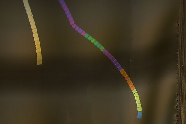 High Quality Sectioning in Ultramicrotomy | Learn & Share | Leica Microsystems