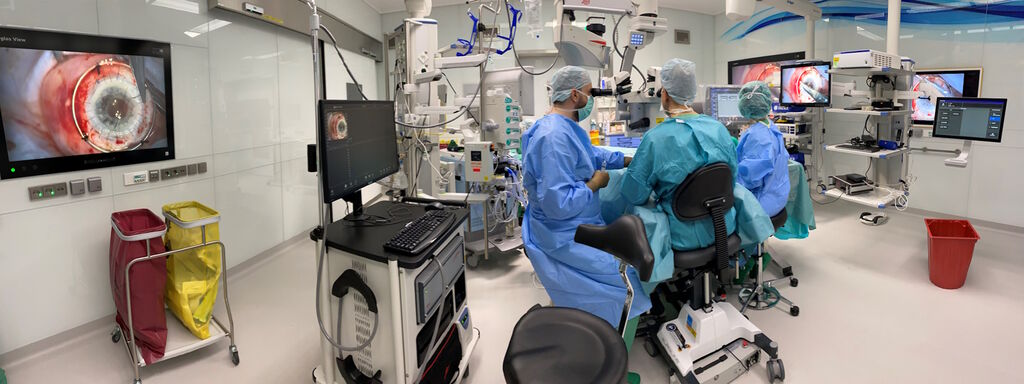 Posterior Segment Surgery: Benefits of Utilizing Intraoperative OCT ...