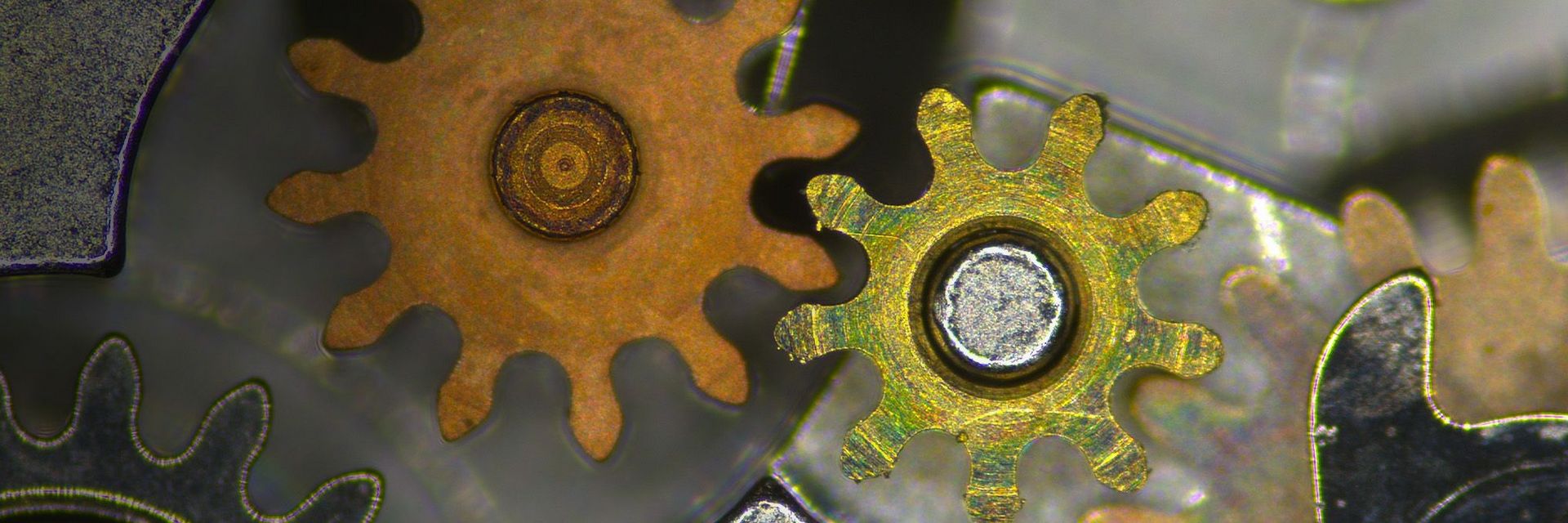 Assembly & Rework Microscopes | Applications | Leica Microsystems