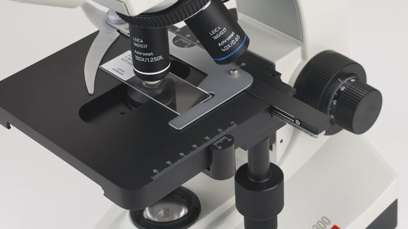 DM300 Microscopio educacional mono o binocular para cursos de ciencias ...