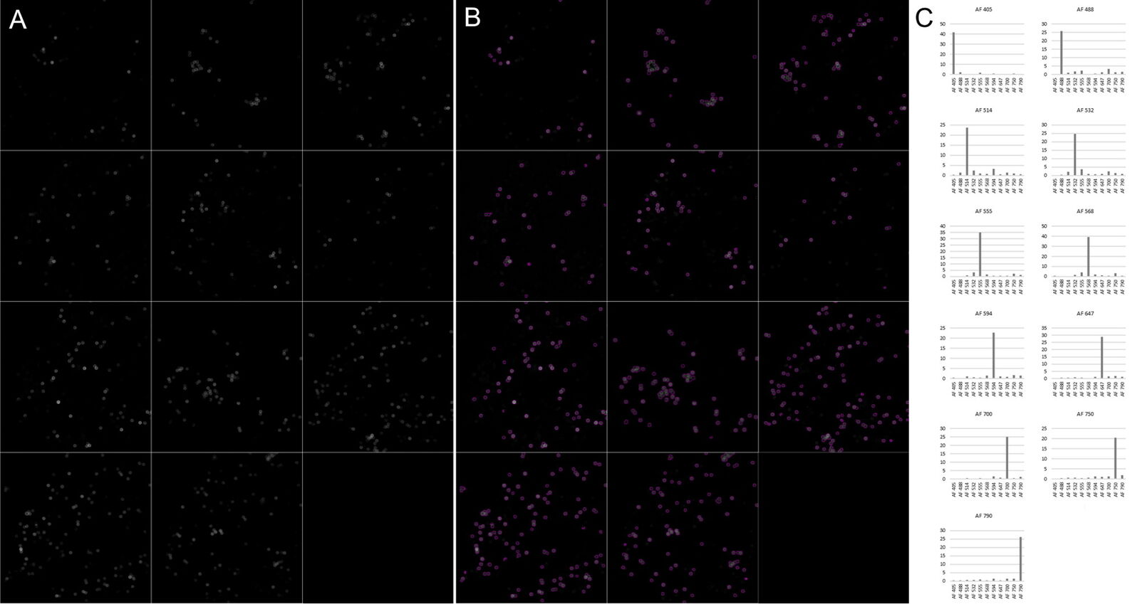 Multiplexing through Spectral Separation of 11 Colors | Learn & Share ...