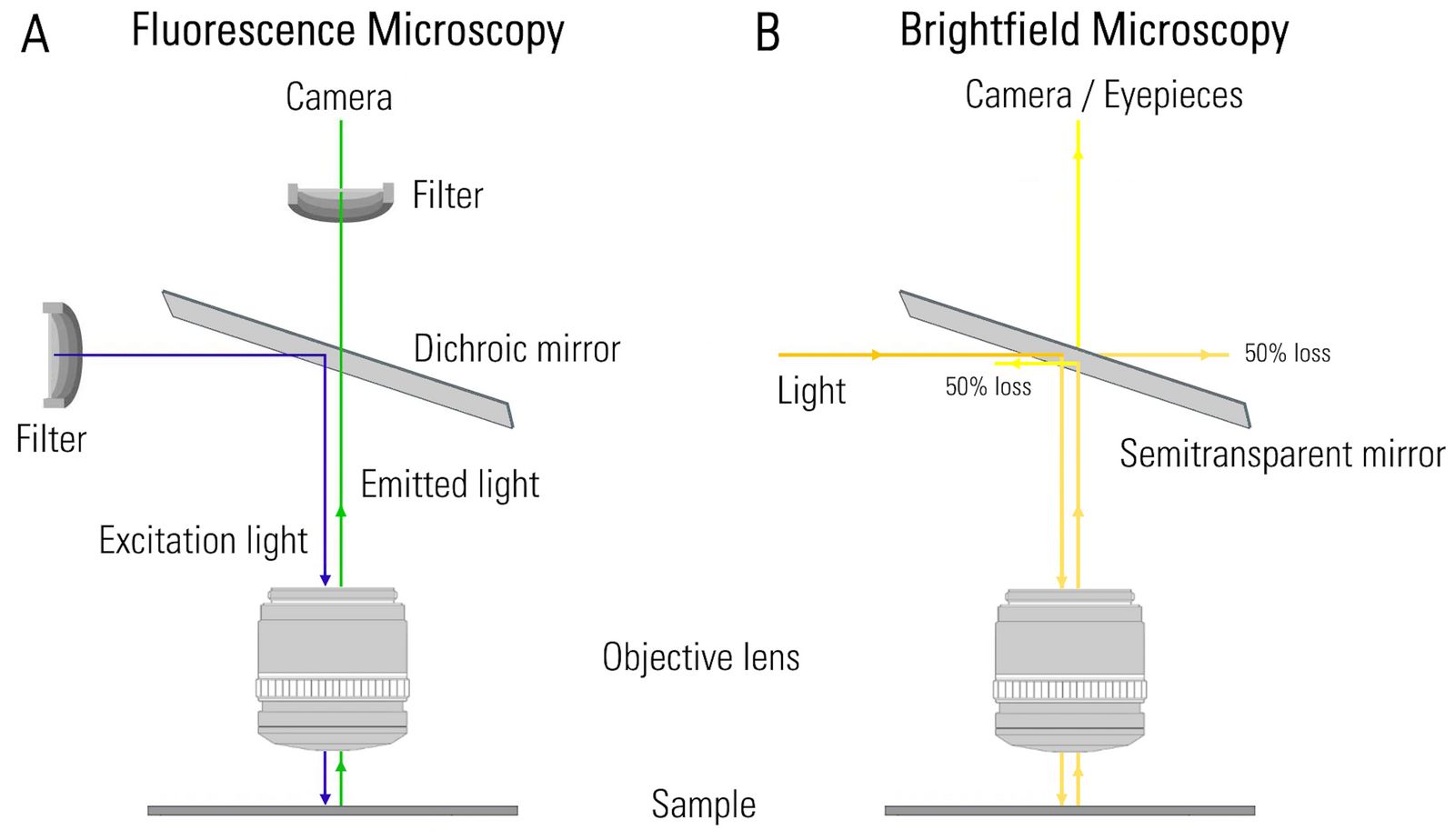 Visualizing Photoresist Residue and Organic Contamination on Wafers ...