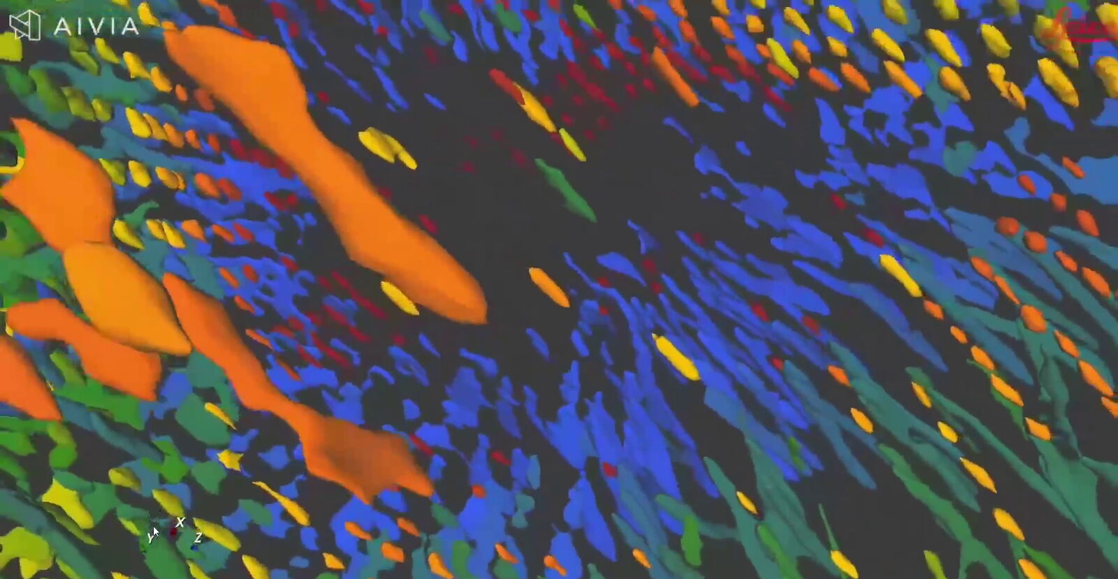 3D Spatial Analysis Using Mica's AI-Enabled Microscopy Software | Learn ...