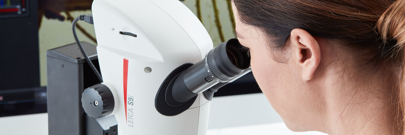 Dissecting Microscopes | Applications | Leica Microsystems