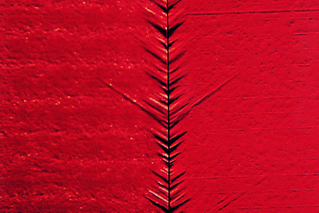 FS CB Motorized Forensic Comparison Microscope | Products | Leica ...