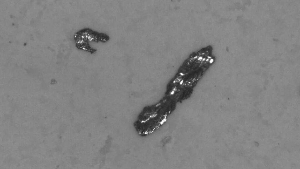 Automated Microscopes | Products | Leica Microsystems