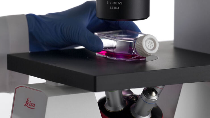 Mateo Digital Microscopes - Media | Products | Leica Microsystems