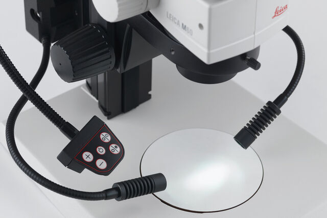M50, M60 & M80 Routine stereo microscopes | Products | Leica Microsystems