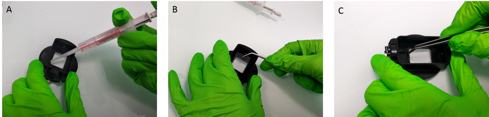 Using a Rotation Device for Light Sheet Sample Mounting | Learn & Share ...