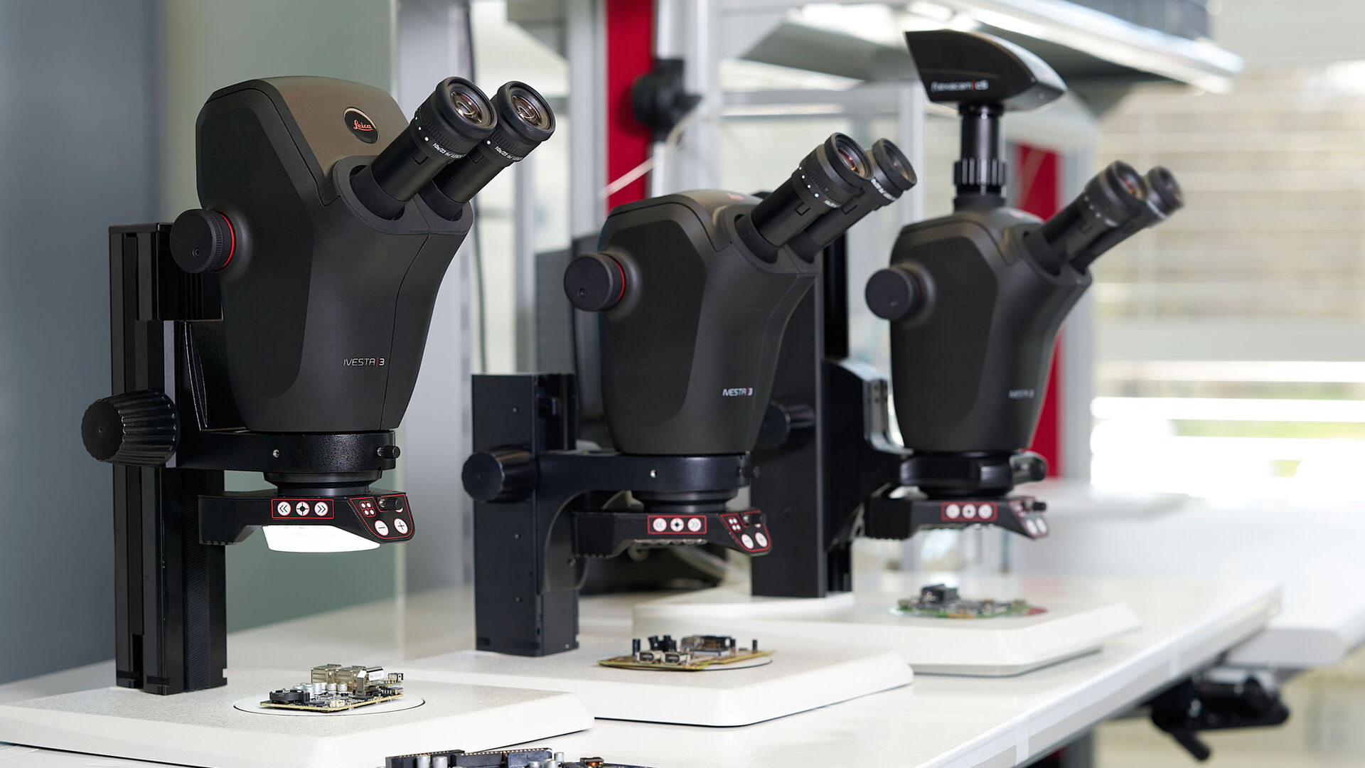 Microscopi e sistemi di imaging | Leica Microsystems