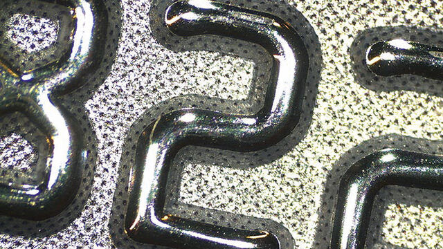 EZ4 Educational stereo microscope for beginners in college and ...