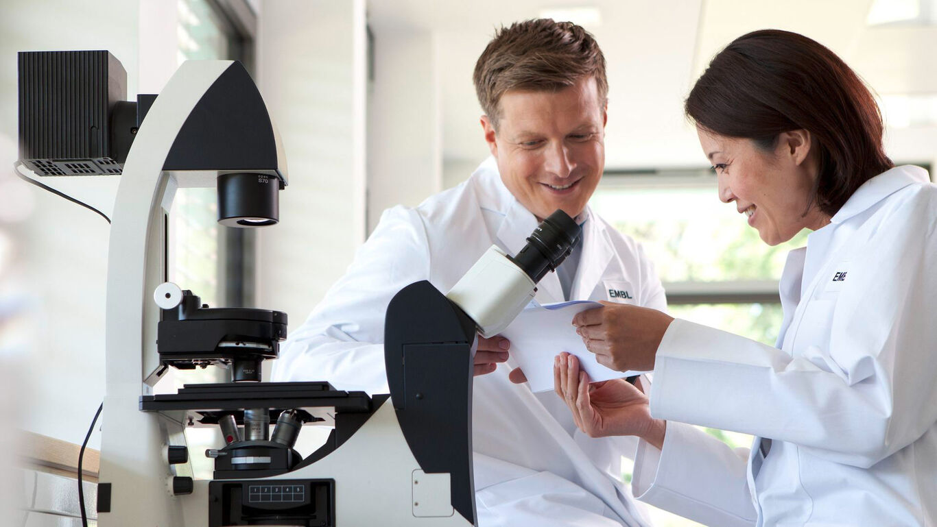 Compound Light Microscopes | Products | Leica Microsystems