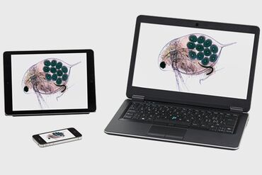 Leica EZ4 W & EZ4 E | Products | Leica Microsystems