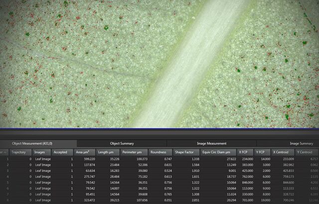 LAS X Life Science Microscope Software | Products | Leica Microsystems