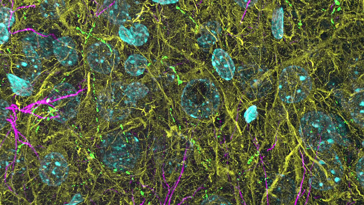 DMi8 | Products | Leica Microsystems