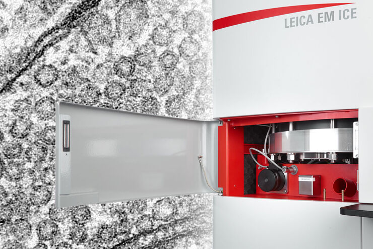 Webinars | Learn & Share | Leica Microsystems