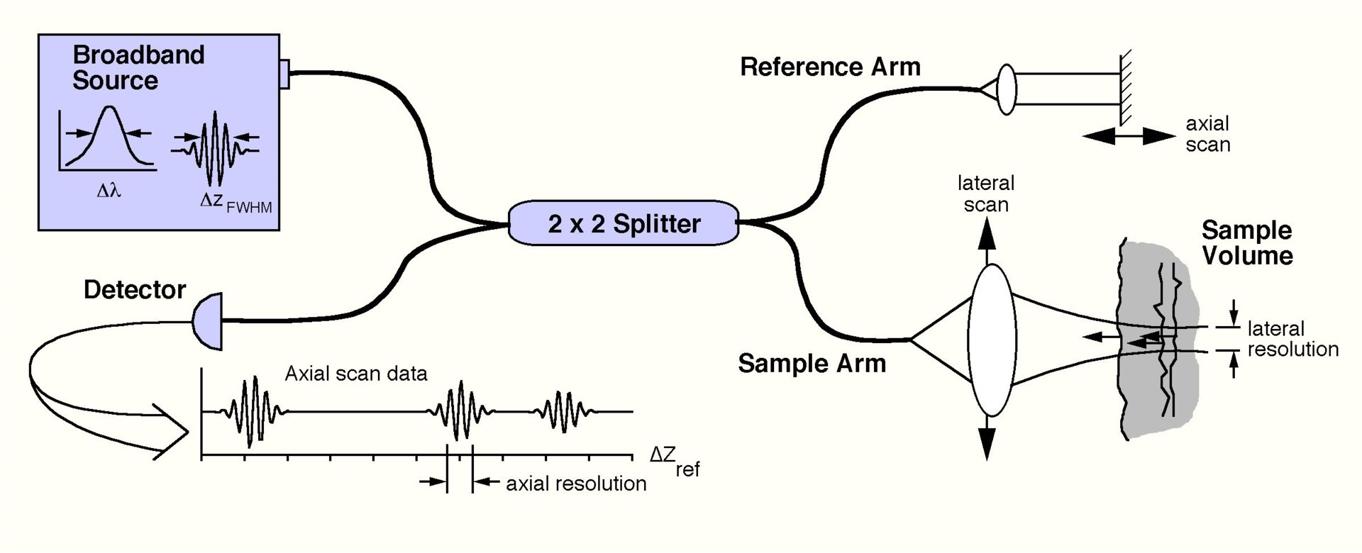 A Guide to OCT | Learn & Share | Leica Microsystems