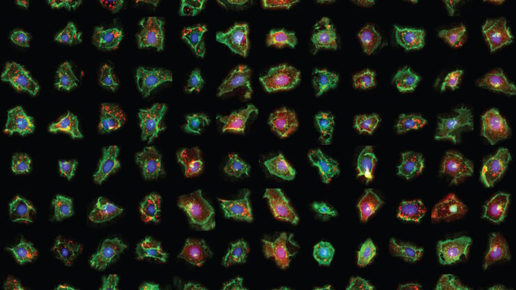 Leica LMD6 & LMD7 Laser Microdissection Microscopes - Applications ...