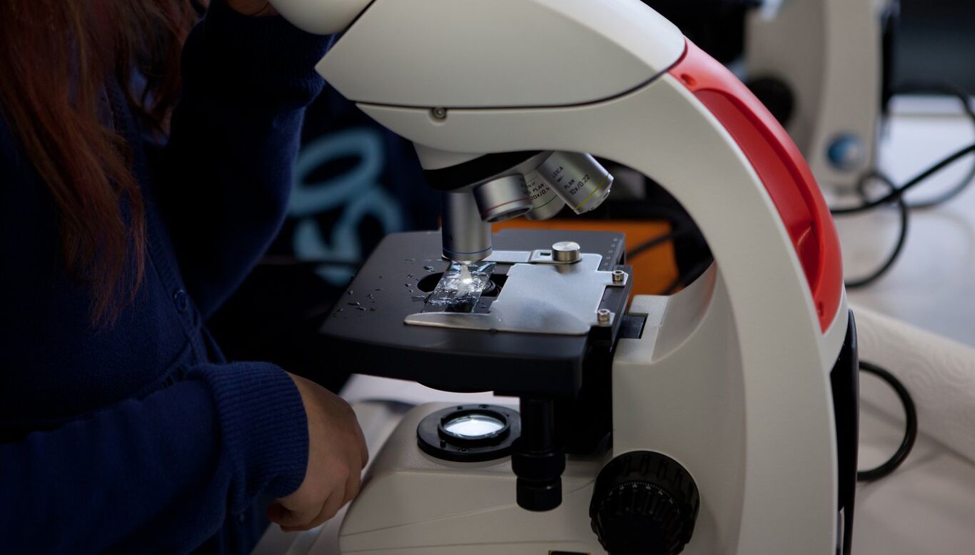 Educational Microscopes | Applications | Leica Microsystems