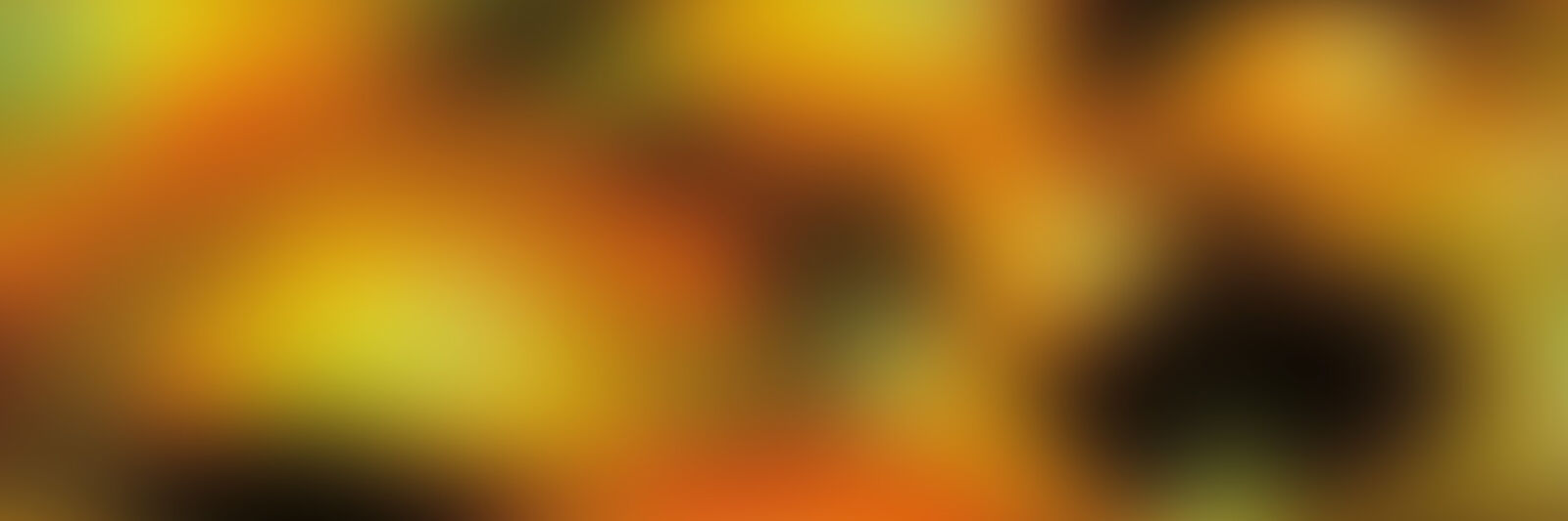 Leica DM3000 & DM3000 LED Uniquely Ergonomic System Microscopes With ...