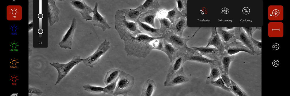 AI-powered workflows developed for advanced cell culture research | Leica Microsystems