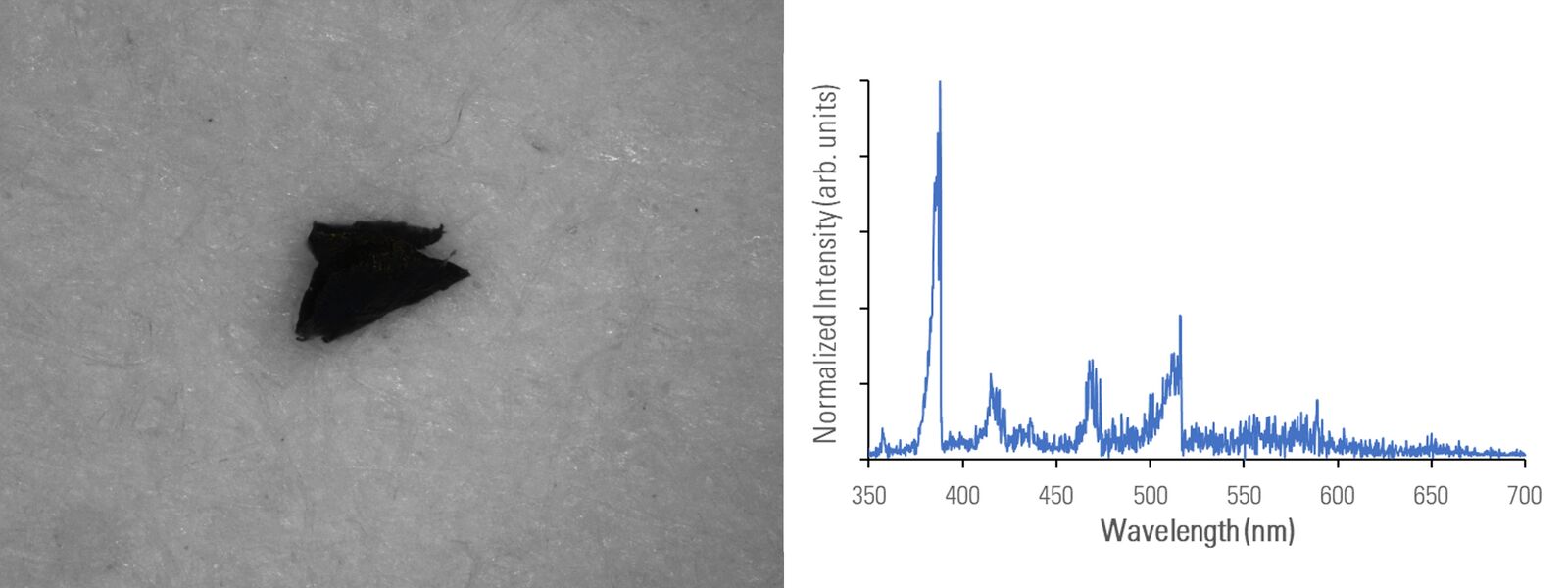 Keeping Particulate Contamination Under Control in Pharmaceutical ...
