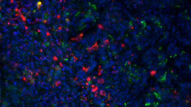 Leica LMD6 & LMD7 LMD | Objetivos adicionales recomendados ...