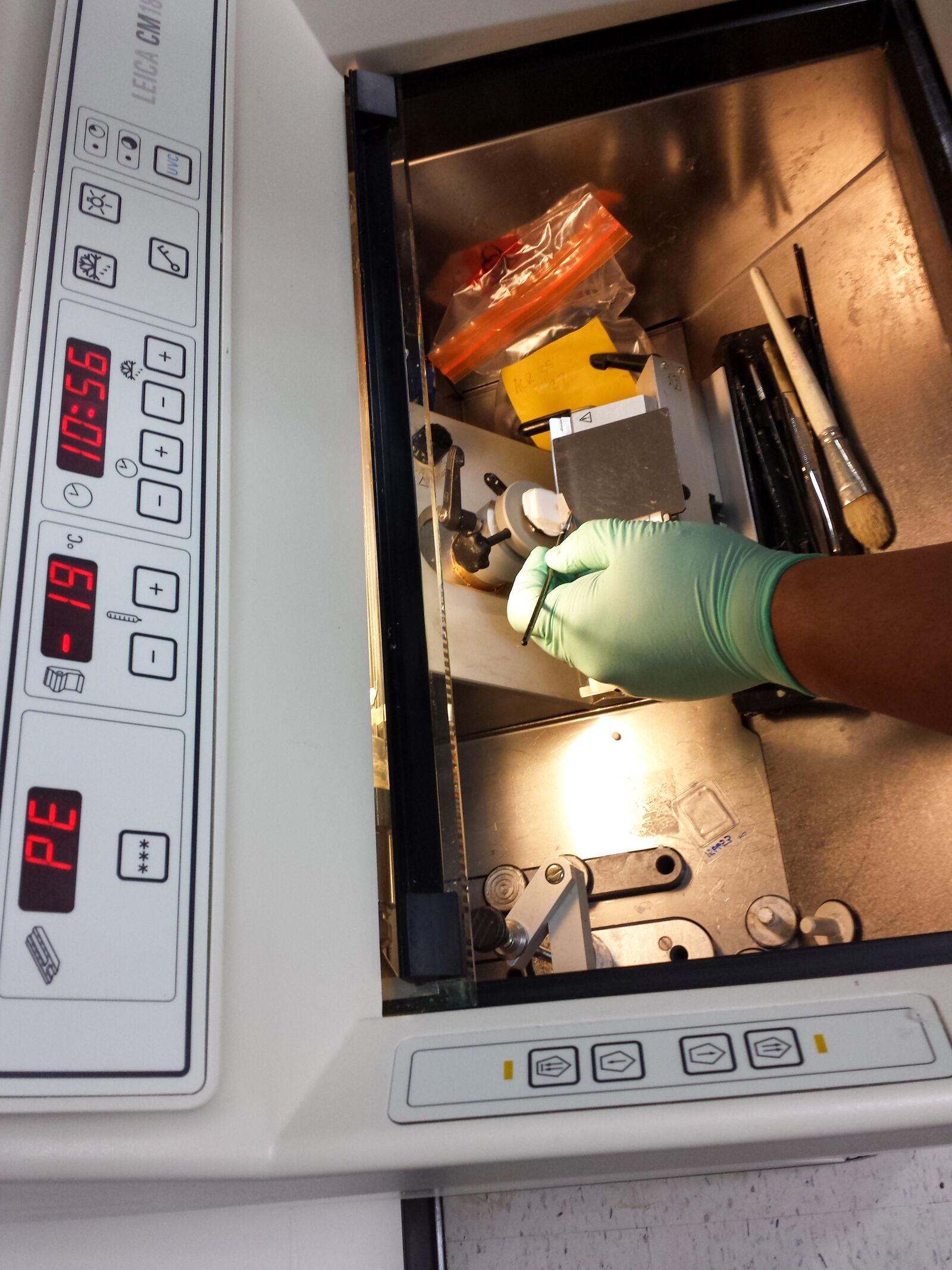 Workflows & Protocols: How to Use a Leica Laser Microdissection System ...