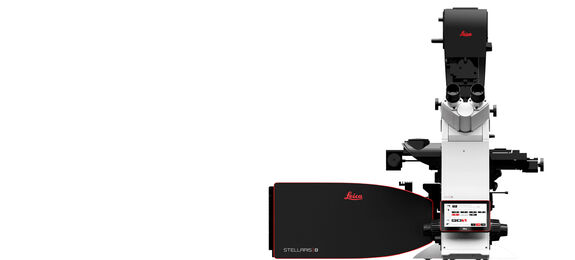 Confocal Microscopes | Products | Leica Microsystems