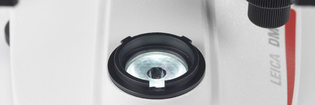 DM300 Monocular, binocular or trinocular educational microscope for ...