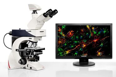 Leica DM2500 & DM2500 LED Optical microscope - Media | Products | Leica ...