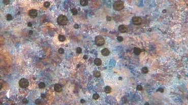 Visoria M Materials Microscope - Applications | Products | Leica ...